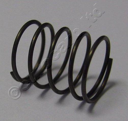 Diaphragm Spring - Eurocarb